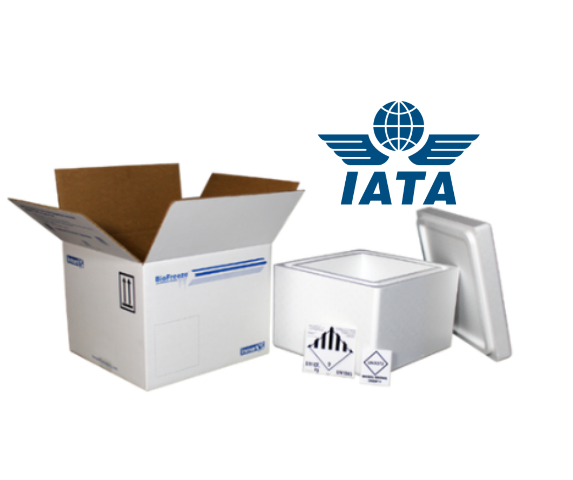 Regenerative Medicine Shipments || JET8 Japan
